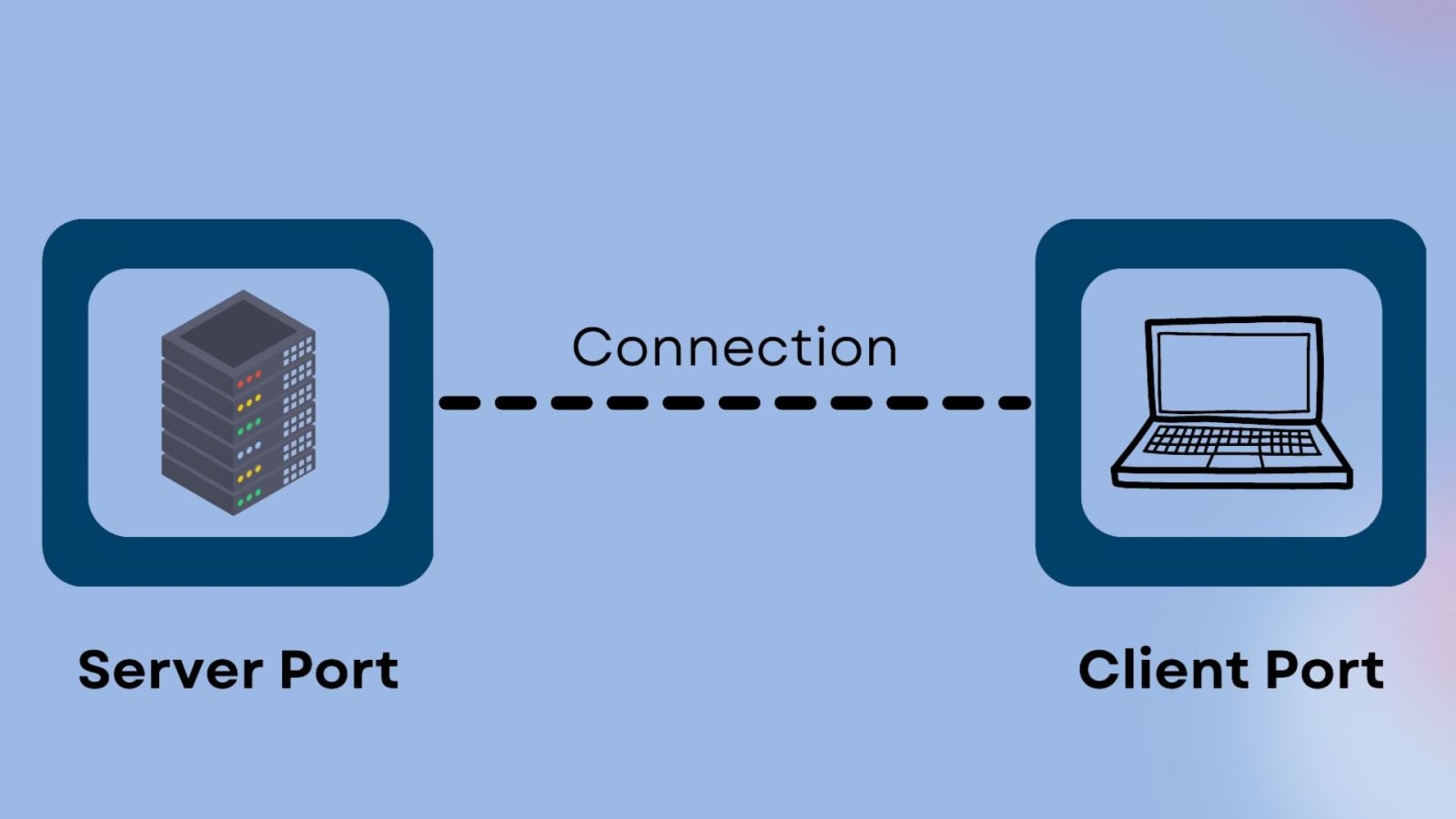 Socket là gì? Những loại Socket được ứng dụng trên thị trường
